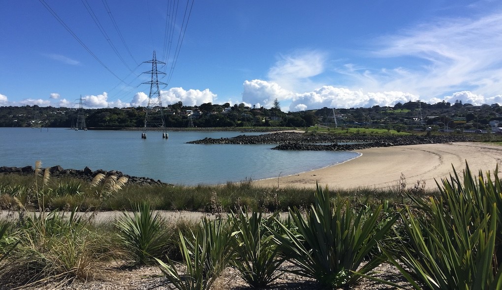 Te Waha Nui